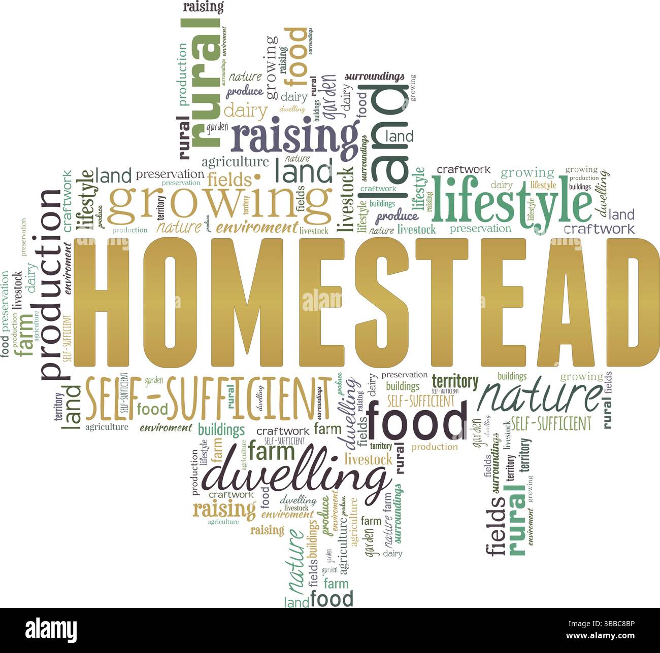 Homestead word cloud conceptual design isolated on white background ...