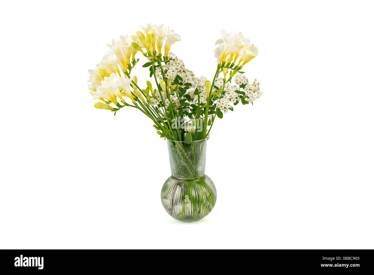 White and yellow freesias stand in a fluted glass vase. A simple floral ...