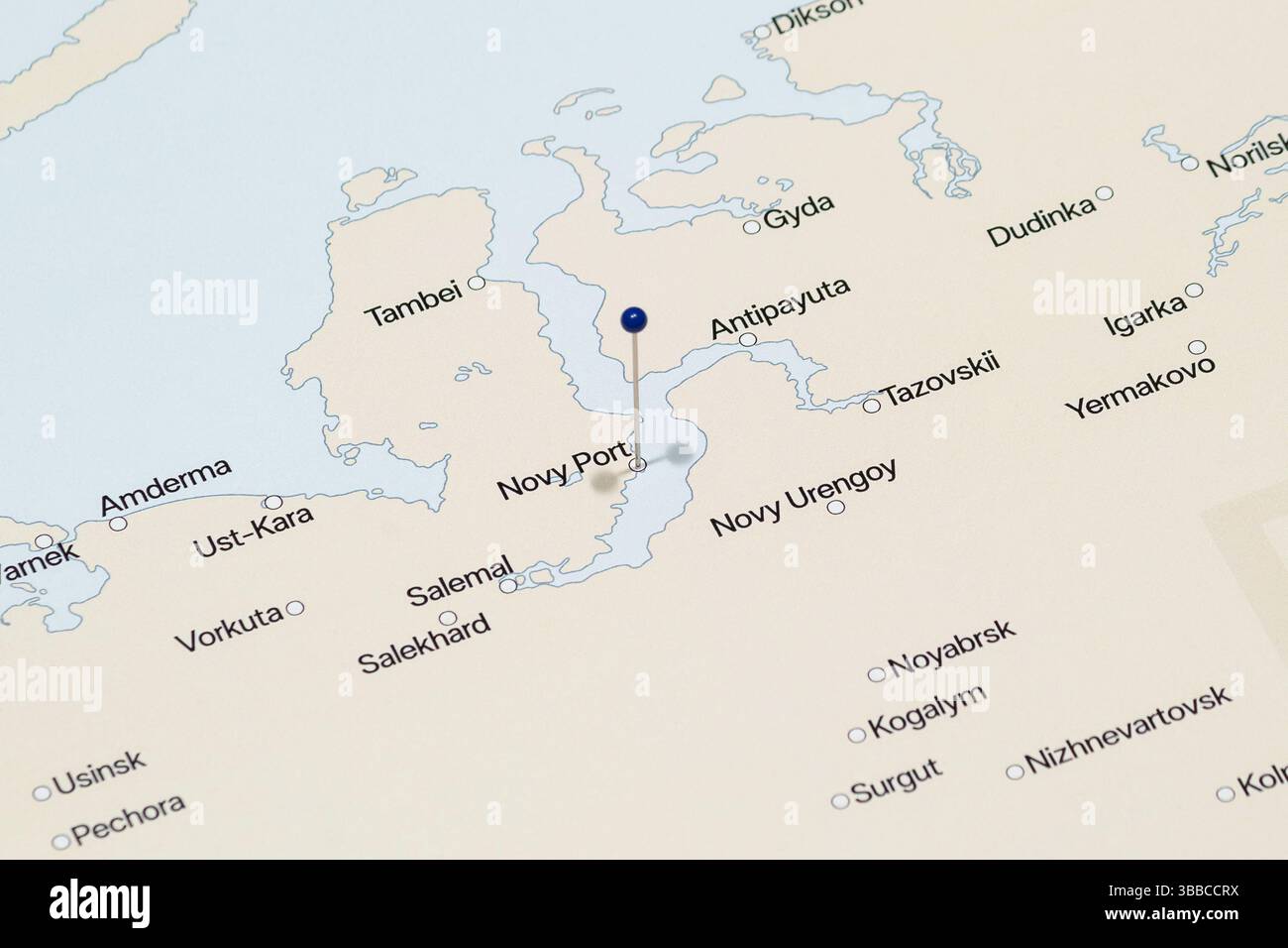 macro photo of a blue pin needle into novy port city of Russia ...