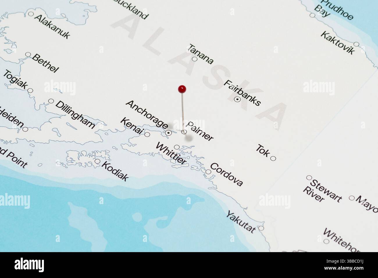 macro photo of a red pin needle into palmer city of Alaska territory of ...