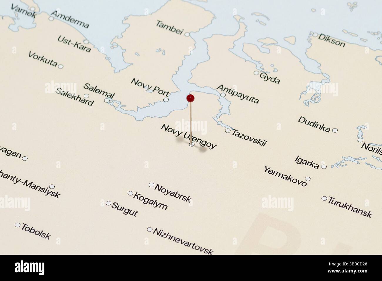 macro photo of a red pin needle into novy urengoy city of Russia ...