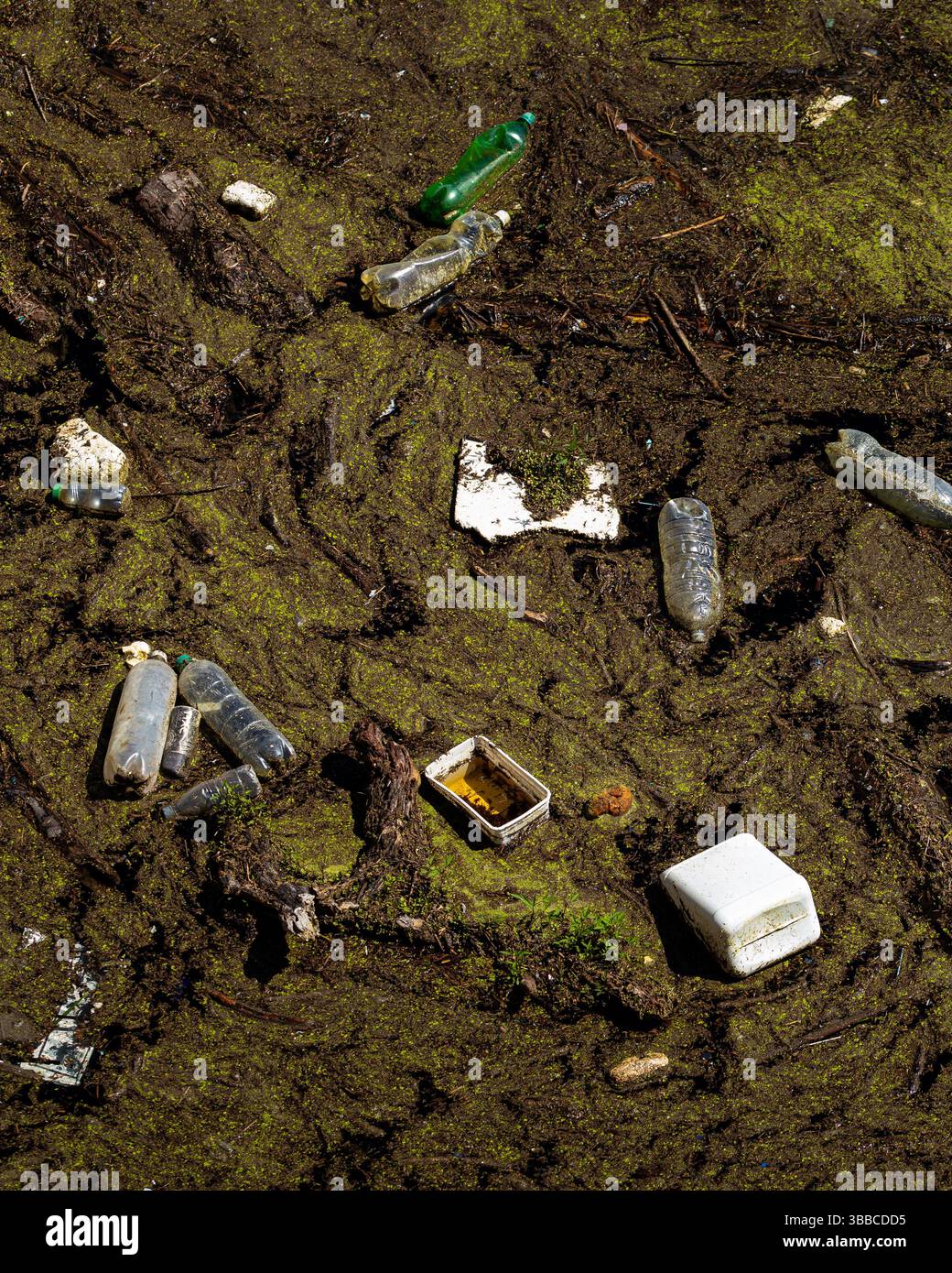 Floating Plastic Trash in a River Dam, Portugal Stock Photo - Alamy