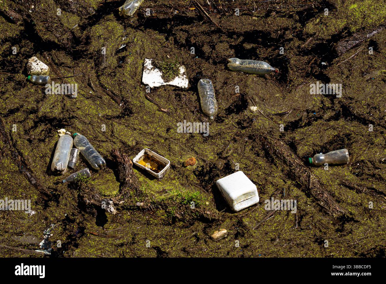 Floating Plastic Trash in a River Dam, Portugal Stock Photo - Alamy
