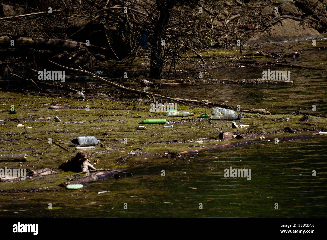 Floating Plastic Trash in a River Dam, Portugal Stock Photo - Alamy