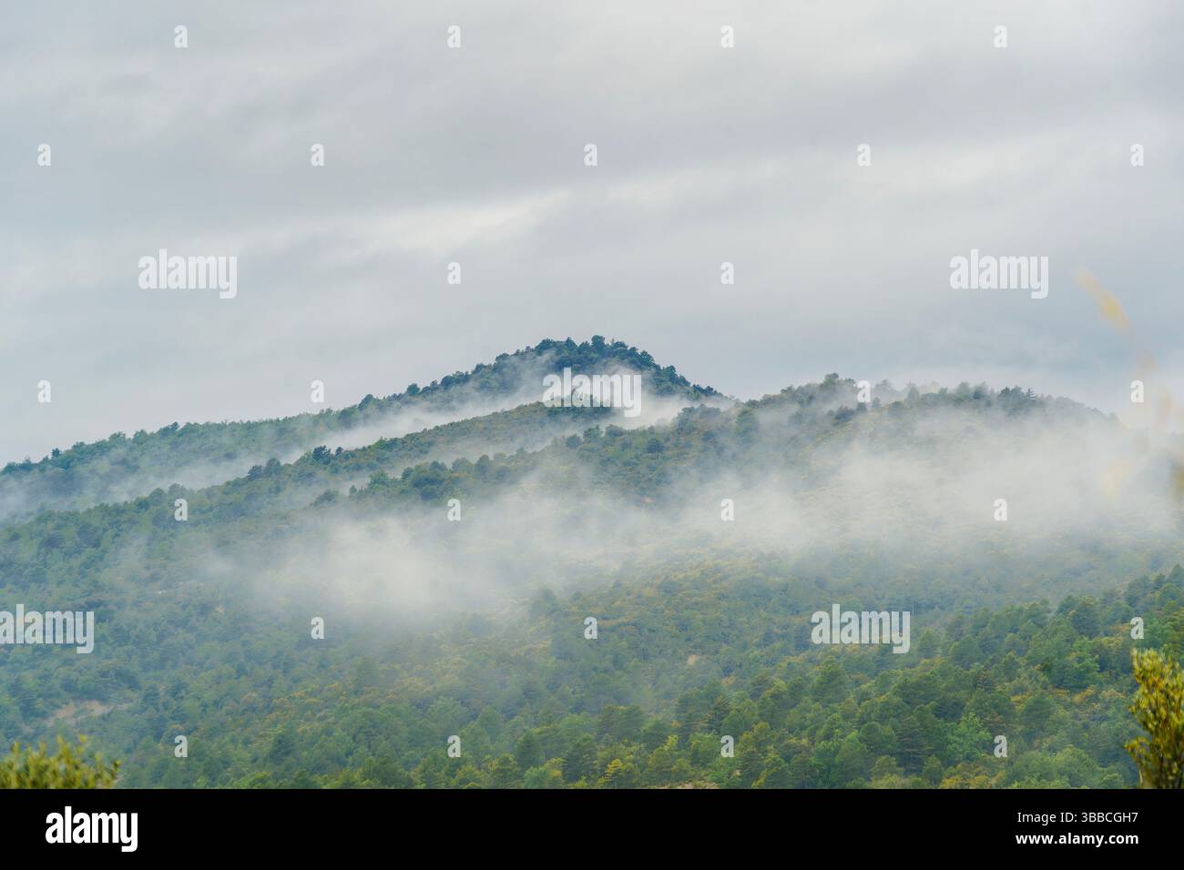 Atmospheric mountain landscape with morning mist floating through dense ...