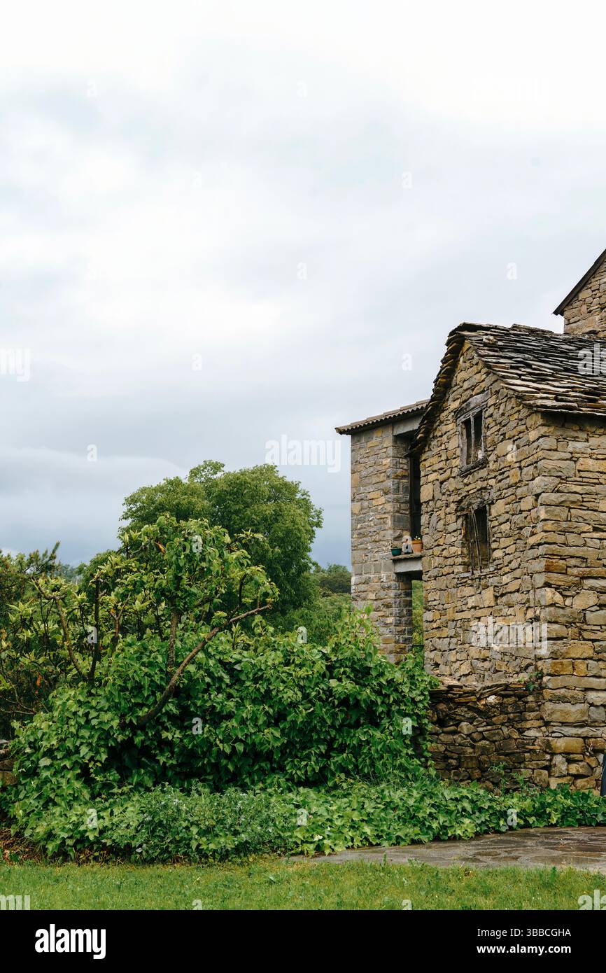 Ancient stone farmhouse with traditional slate roof surrounded by green ...