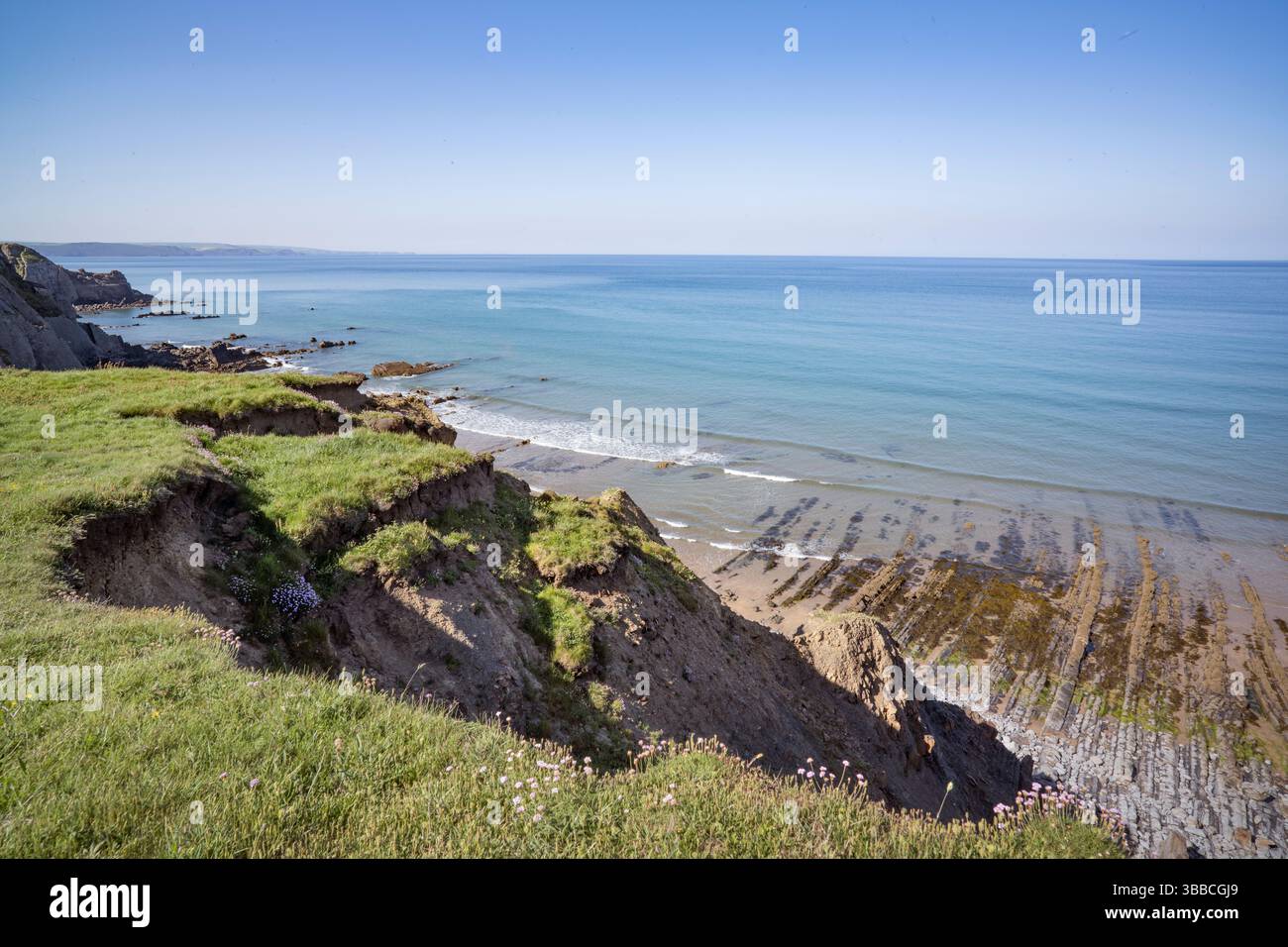 Walking the Cornwall coastal path near Sandymouth in Cornwall Stock ...