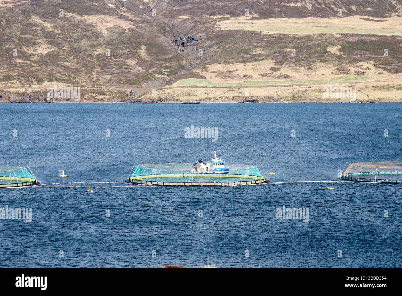General view of a company-owned Salmon farm, Ice Fish Farm at ...
