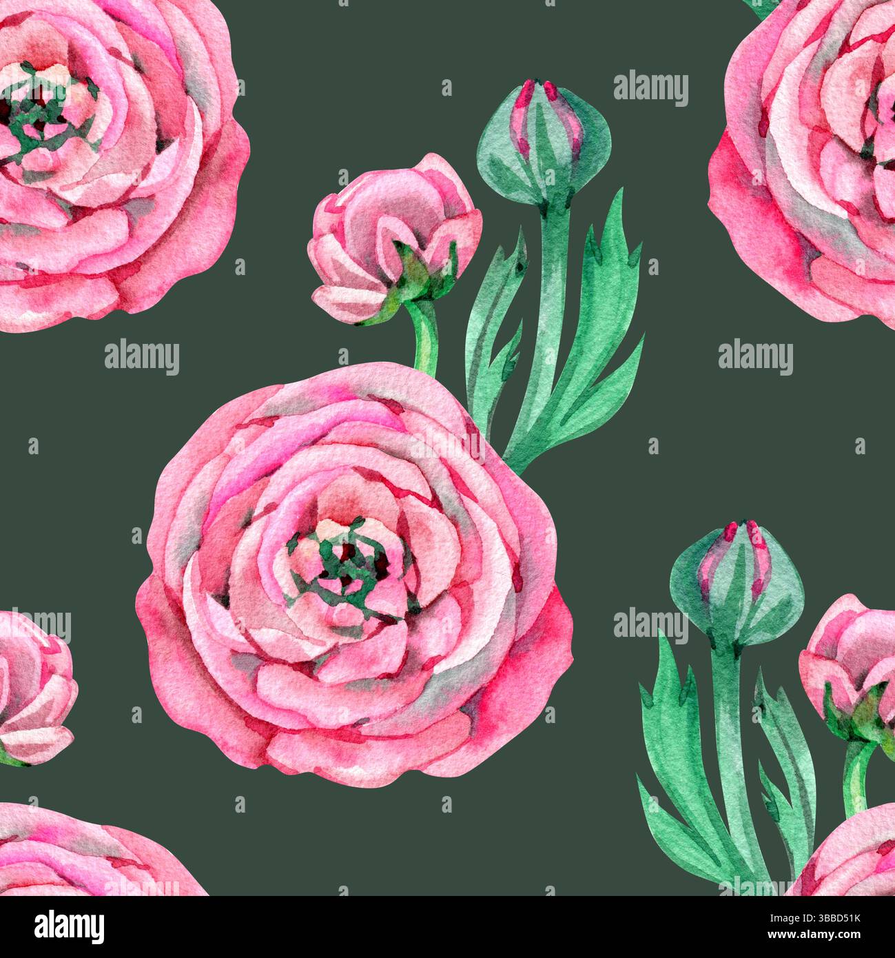 Ranunculus (buttercup). Seamless floral pattern with pink flowers and ...