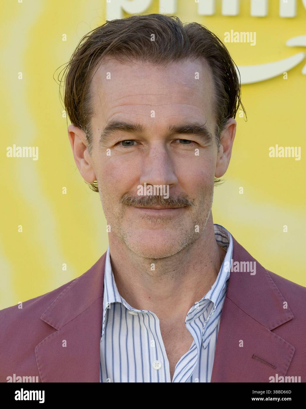 Hollywood, California, USA. 14th May, 2025. James Van Der Beek. Prime ...