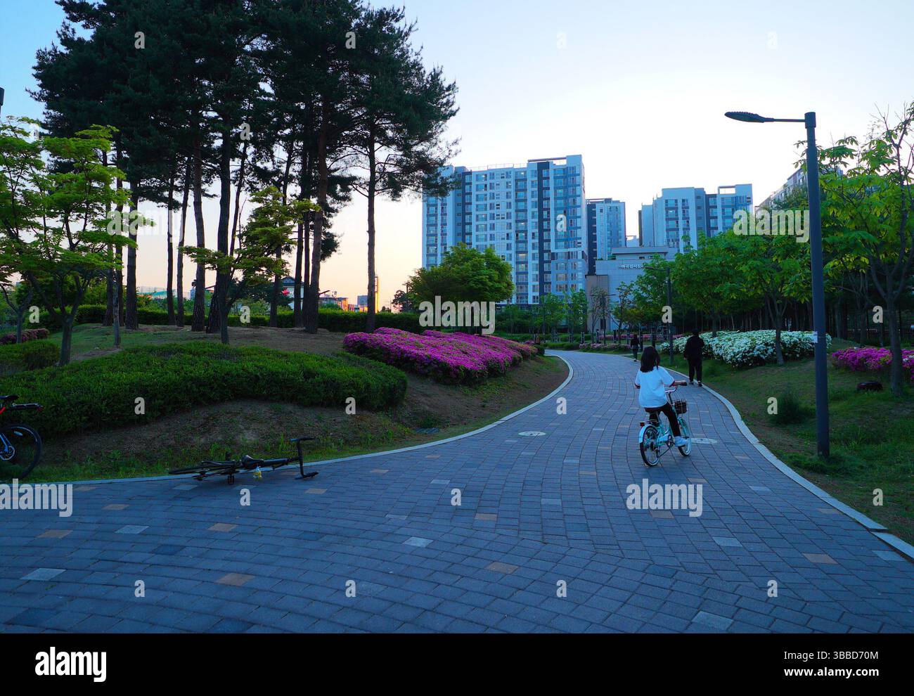 Urban park with greenery Stock Photo - Alamy