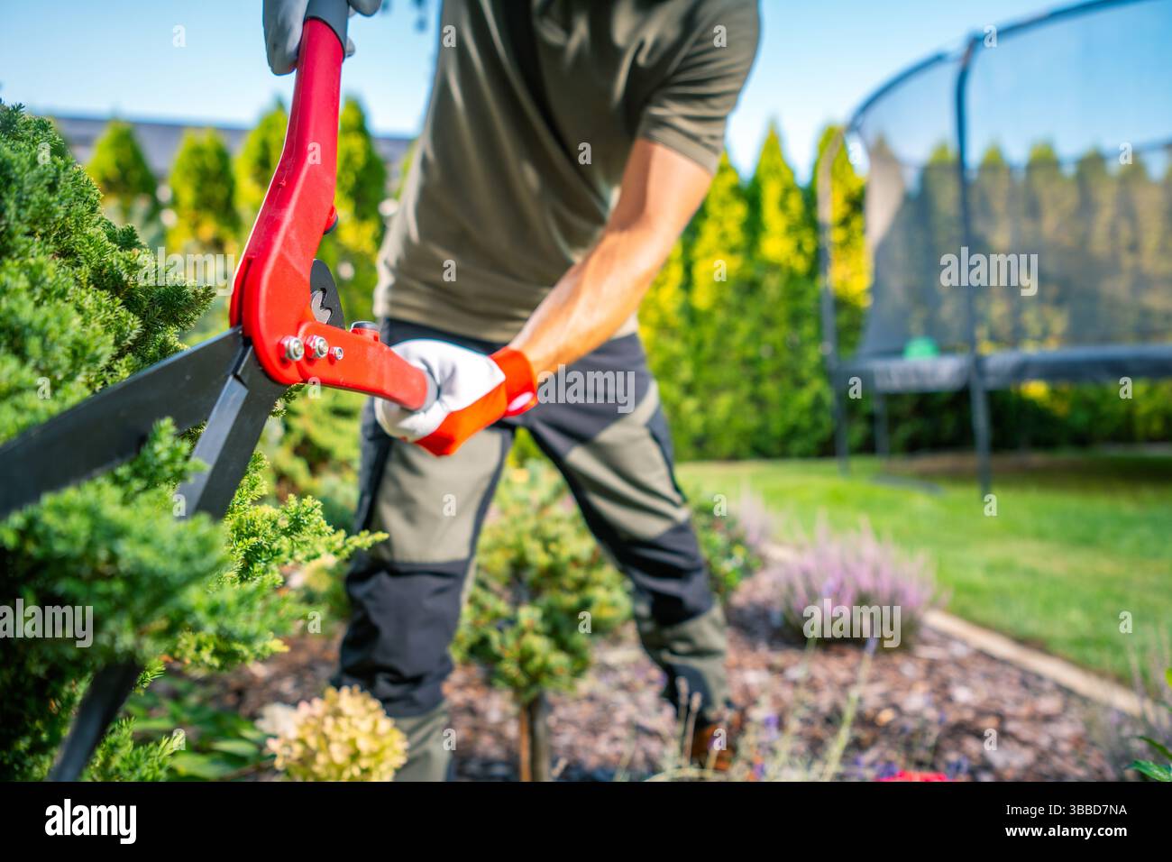 Well maintained backyard large hi-res stock photography and images - Alamy