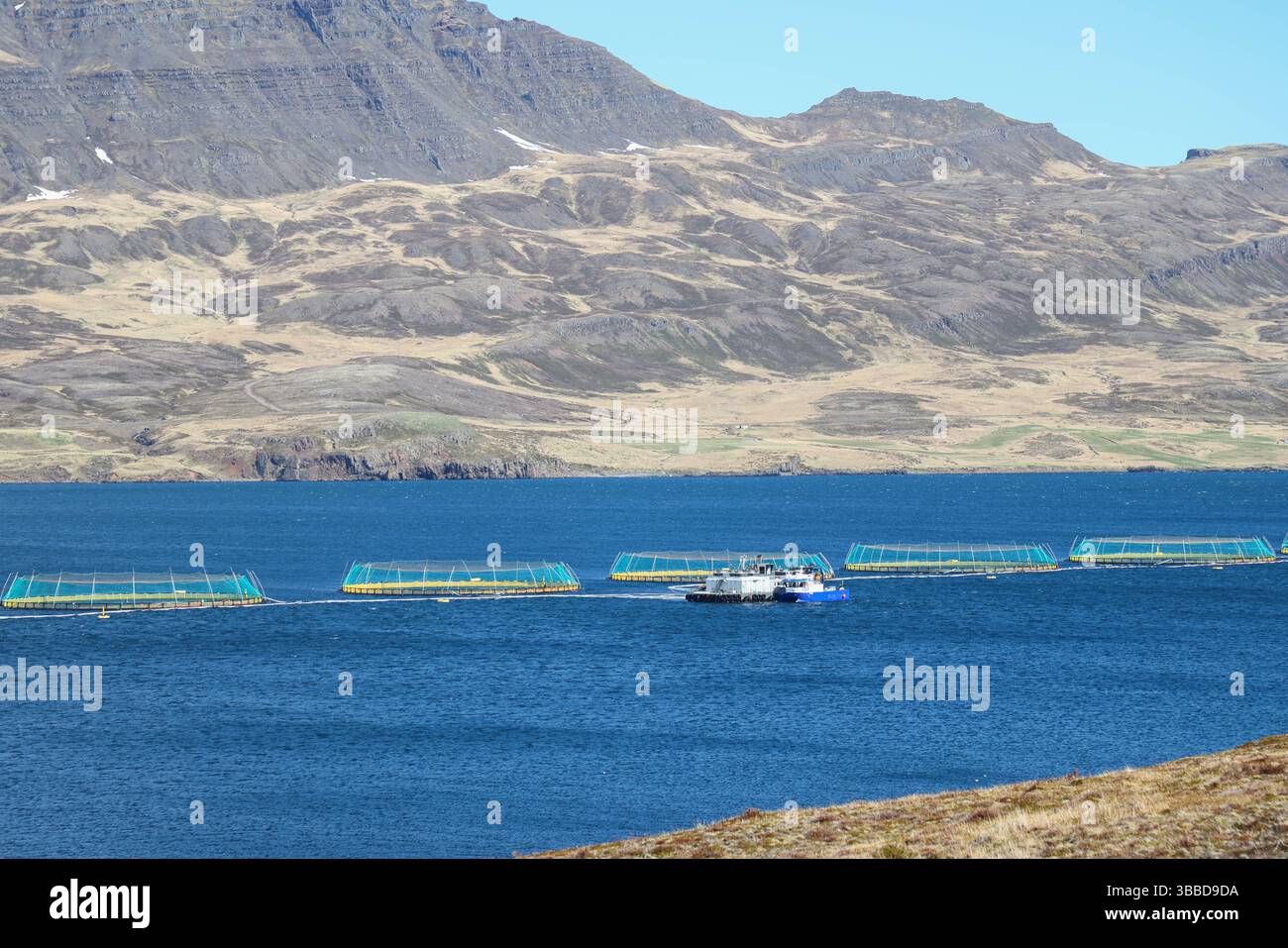 Faskrudsfjordur, Iceland. 8th May, 2025. General view of a company ...