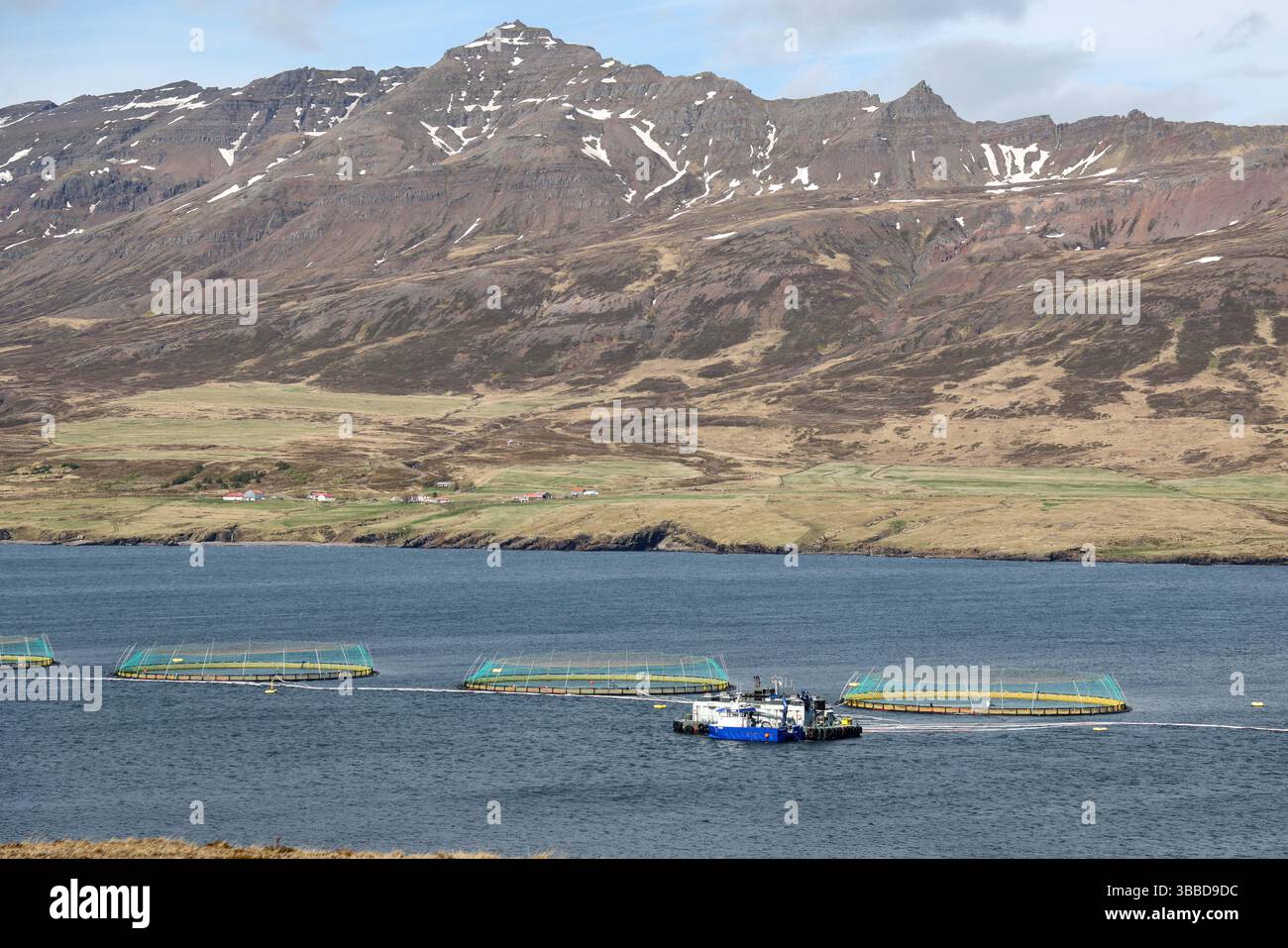 Faskrudsfjordur, Iceland. 8th May, 2025. General view of a company ...