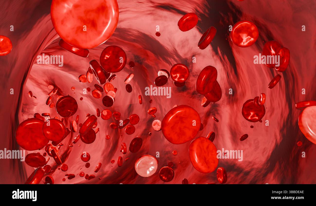 Anatomie der arterien hi-res stock photography and images - Alamy