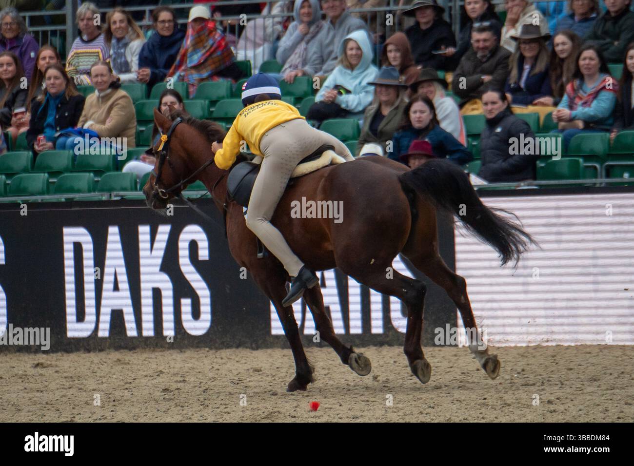 Windsor, Berkshire, UK. 15th May, 2025. Teams for the nations of the UK were competing in the ...