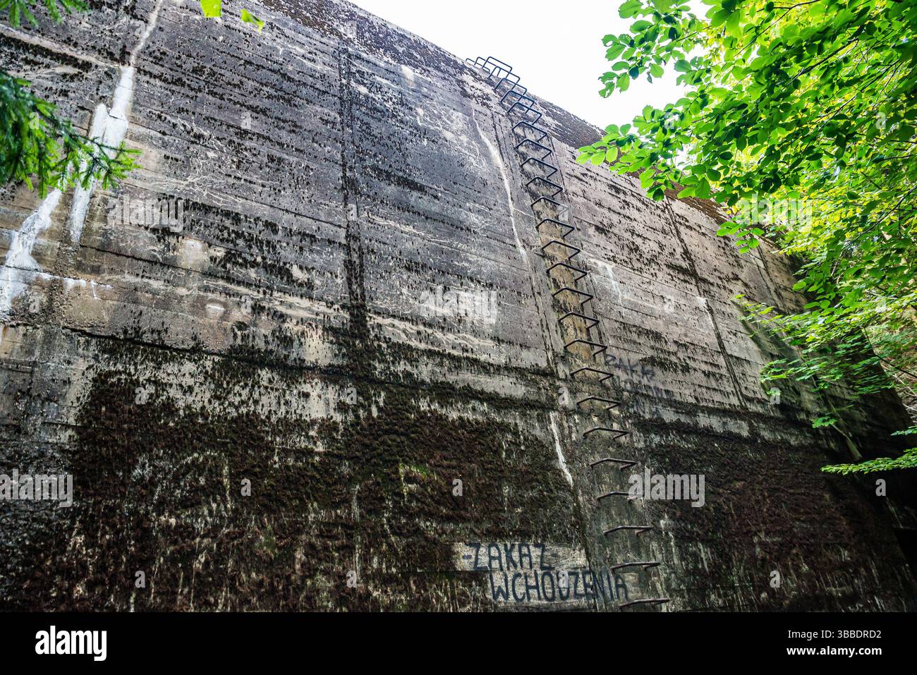 Mauerwald, Poland - August 15, 2021. Bunkers in museum area Stock Photo ...
