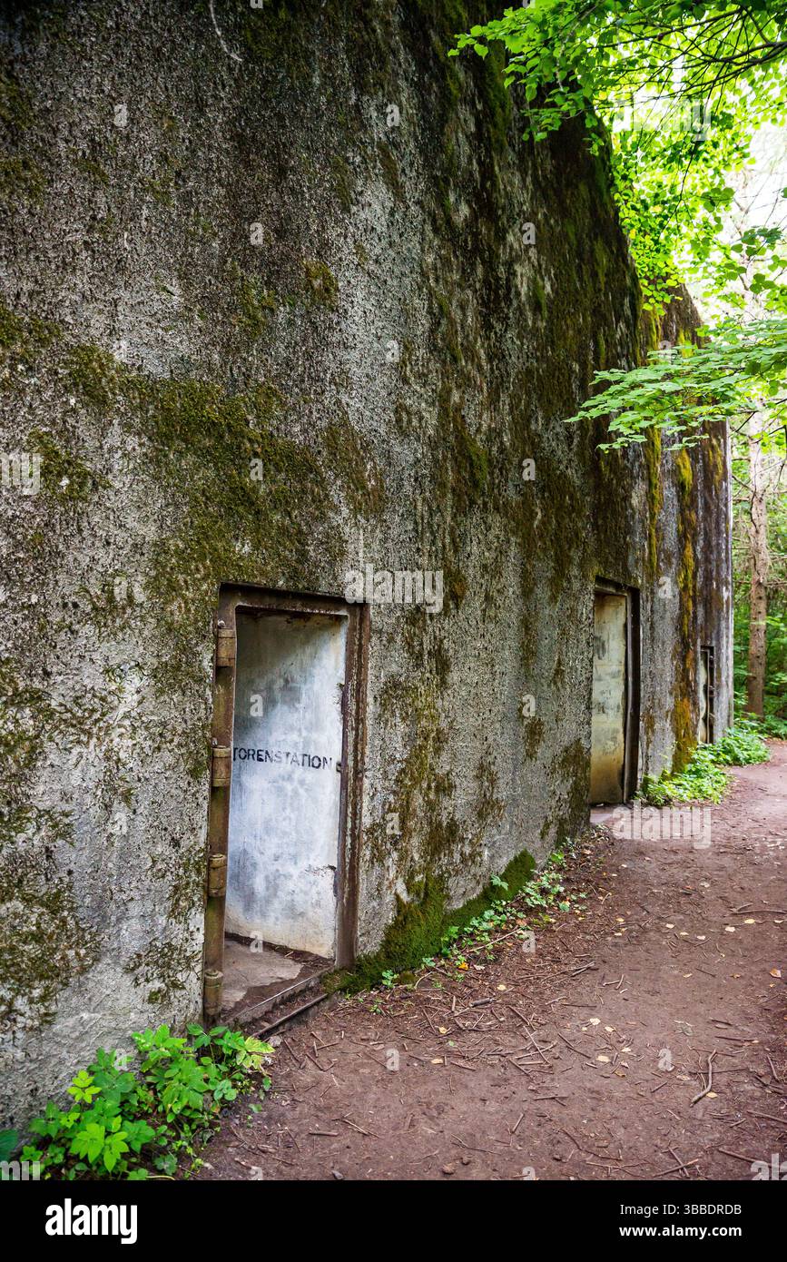 Mauerwald, Poland - August 15, 2021. Bunkers in museum area Stock Photo ...