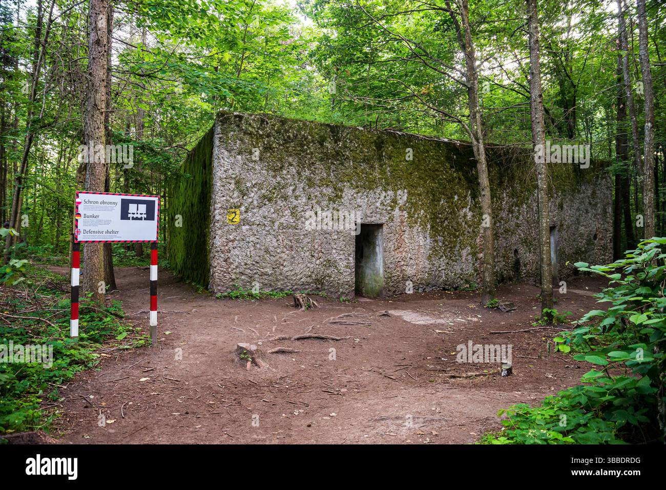 Mauerwald, Poland - August 15, 2021. Bunkers in museum area Stock Photo ...
