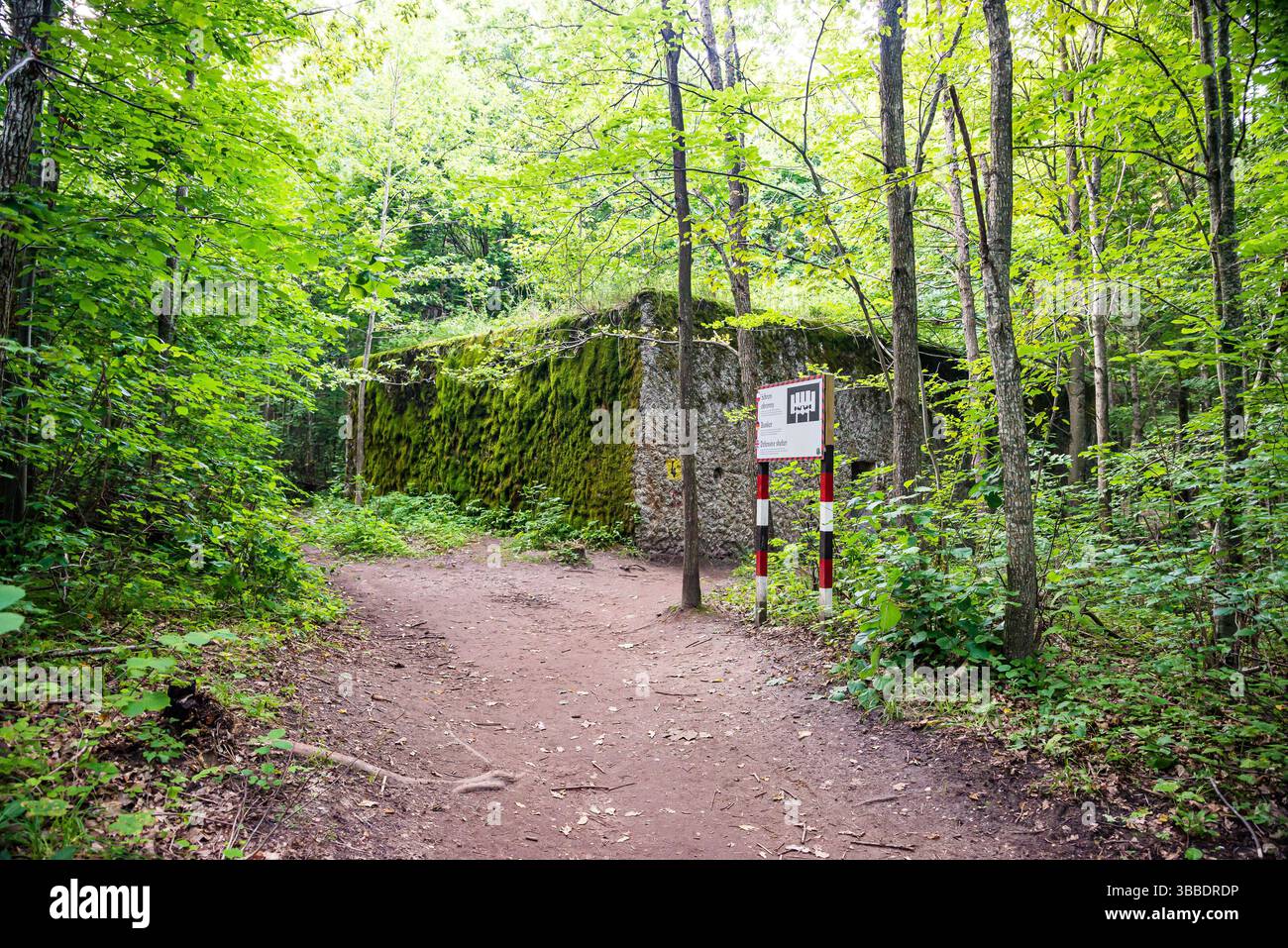 Mauerwald, Poland - August 15, 2021. Bunkers in museum area Stock Photo ...