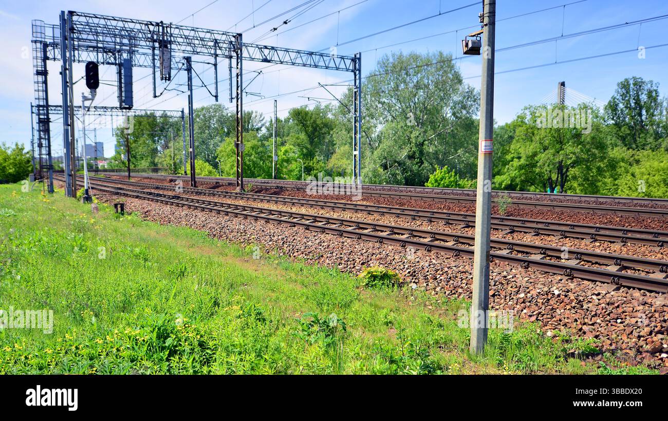 View of couple of empty railways with vegetation on each side. Metallic ...