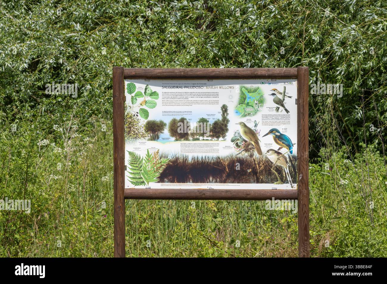 Wooden informative sign illustrating local flora and fauna species at ...