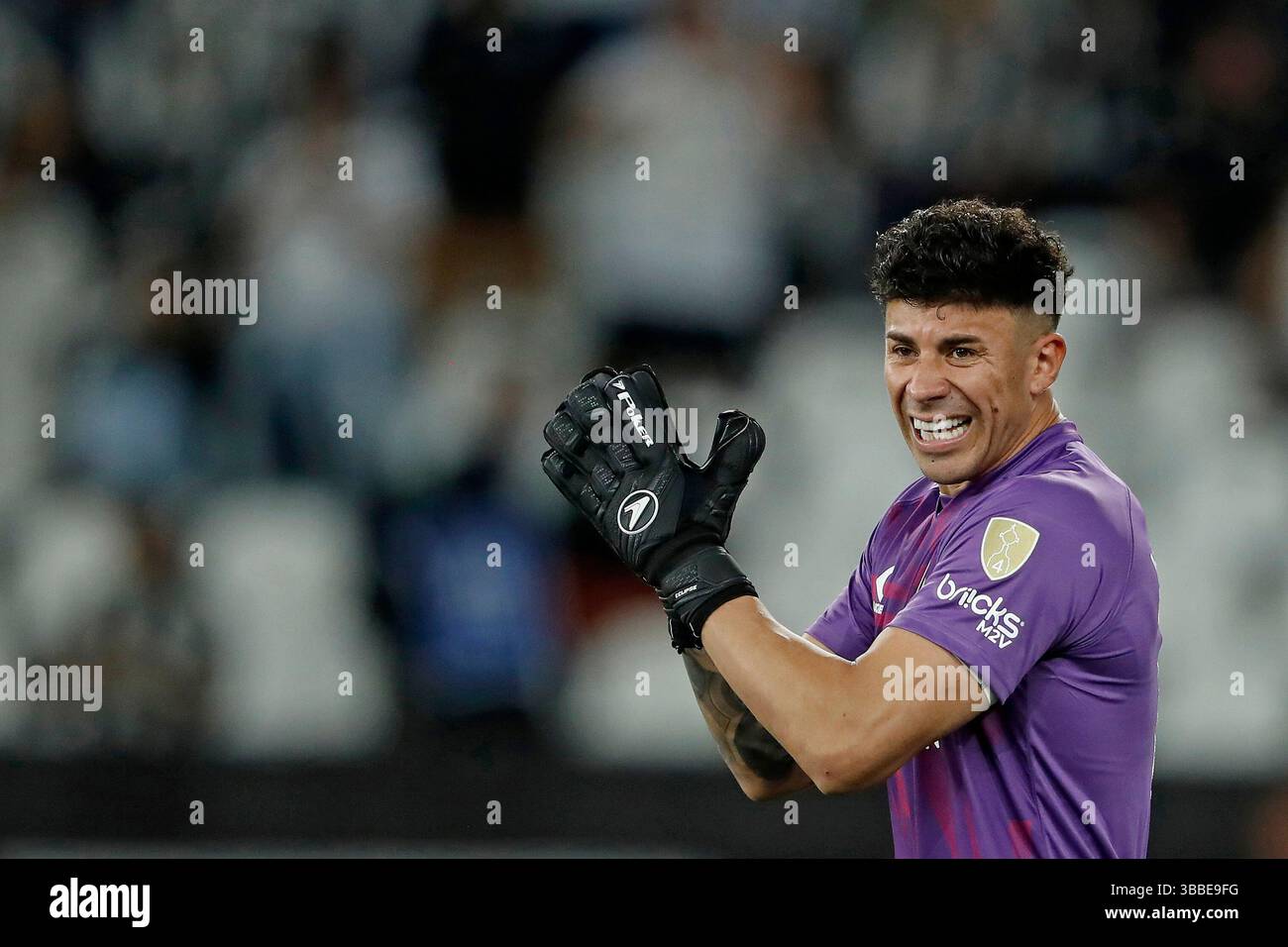 14th May 2025; Rio de Janeiro, Brazil: Goalkeeper, Matias Mansilla of ...