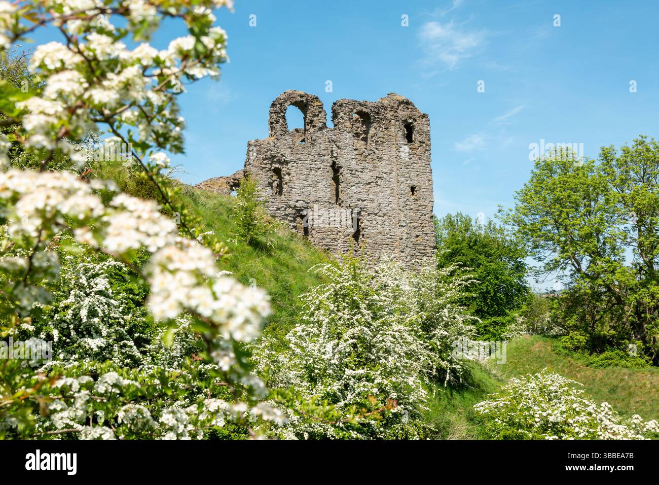 Clun Castle, Shropshire, UK in spring. 2025 Stock Photo - Alamy