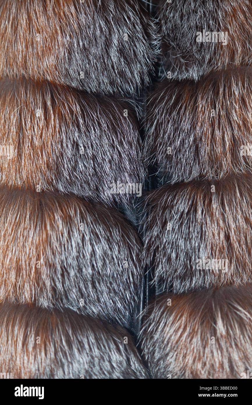 Luxurious fur coats hi-res stock photography and images - Alamy