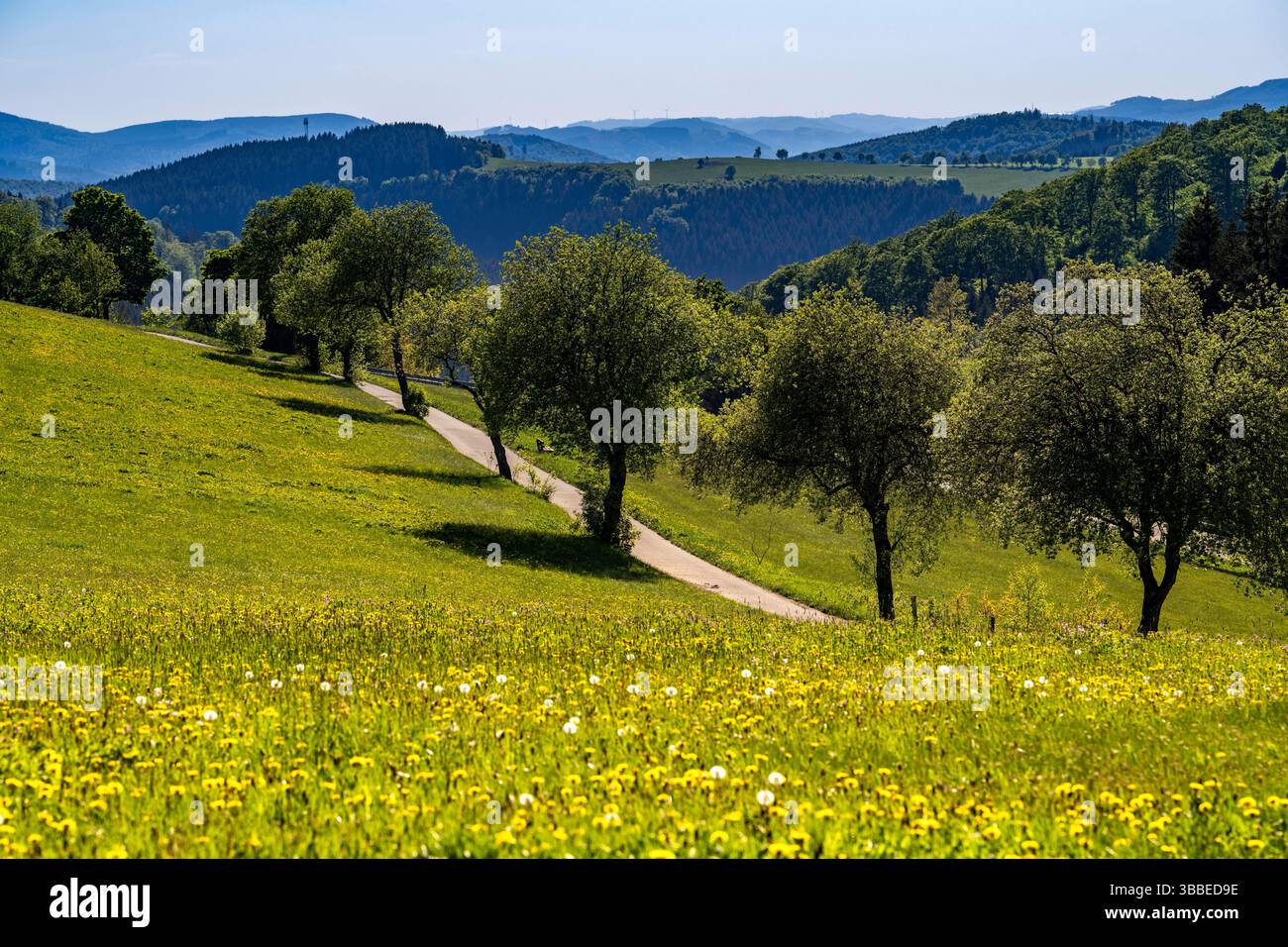 Landschaft bei Altastenberg, im Hochsauerlandkreis, im Frühling ...