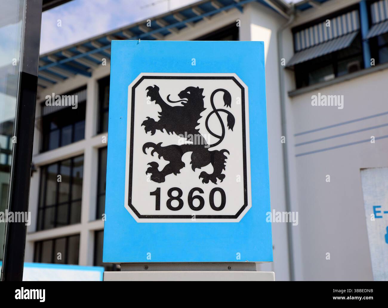 Fussball, Herren, 3.Liga, Saison 2024/2025, TSV 1860 München, Training ...