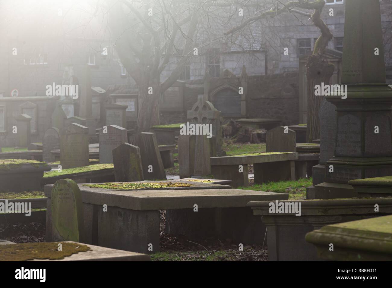 Old cemetery in the city centre of Aberdeen Scotland Stock Photo - Alamy