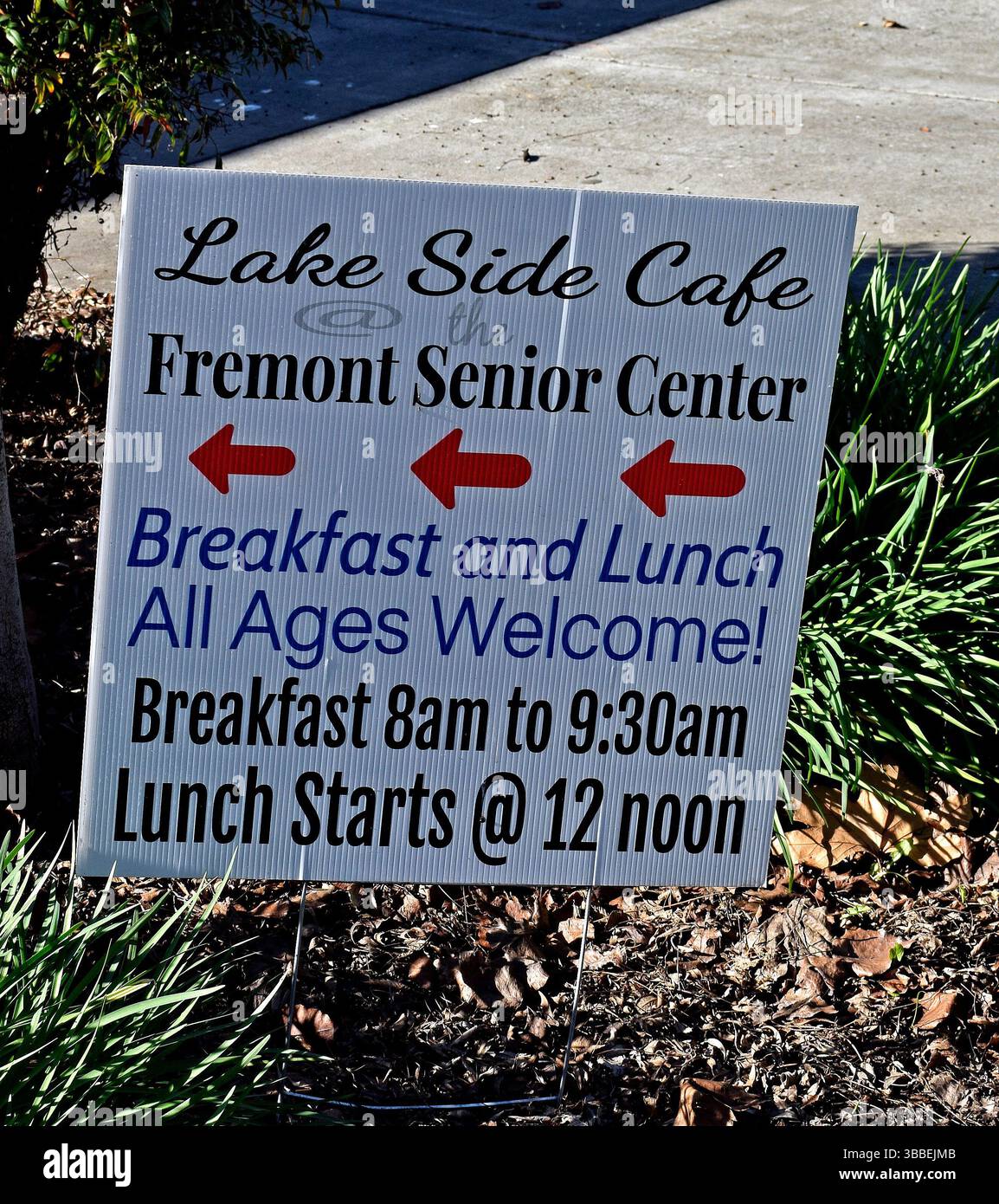 Seniors center hi-res stock photography and images - Alamy