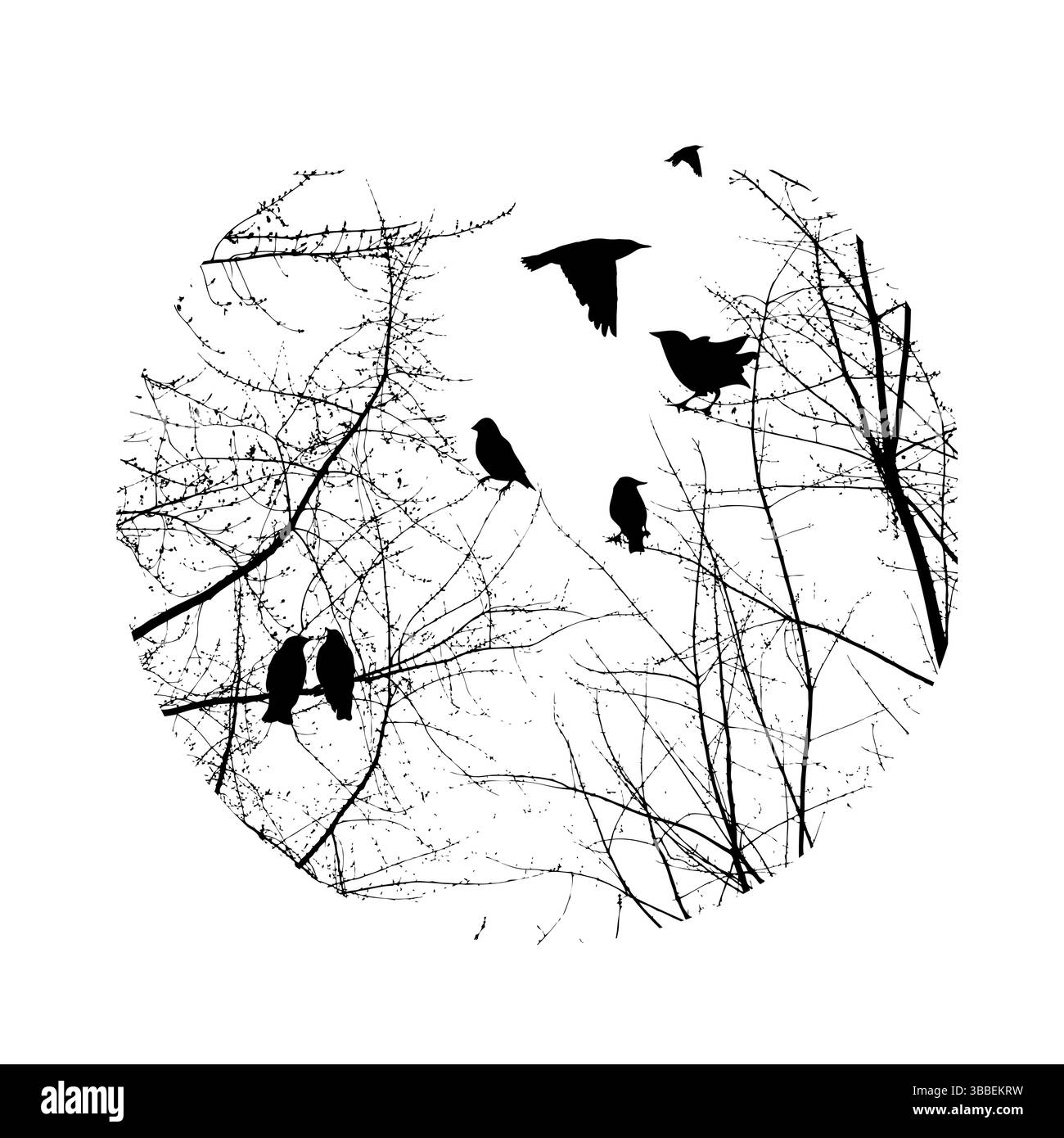 Round abstraction of tree branch and bird. hand drawn. Not AI, Vector ...