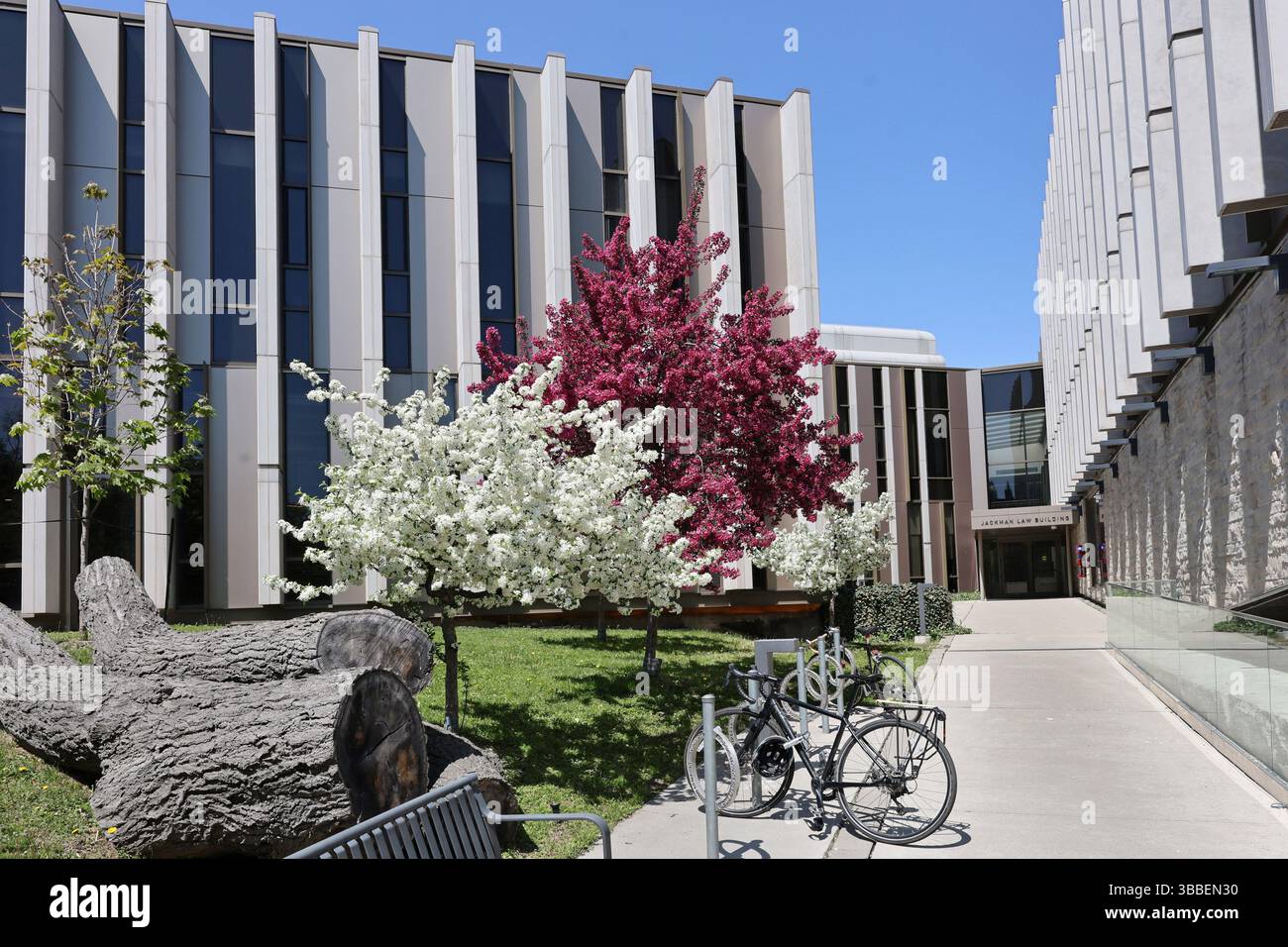 University of Toronto Law School Building Stock Photo - Alamy