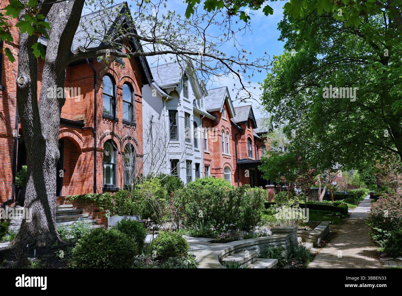 Tree lined street with old brick houses with gables Stock Photo - Alamy