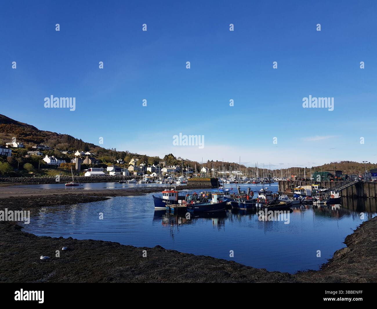Tarbert Harbour, Loch Fyne, Scotland Stock Photo - Alamy
