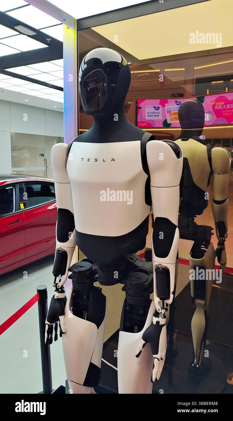 SHANGHAI, CHINA - MAY 15, 2025 - The Tesla humanoid robot Optimus Gen-2 ...