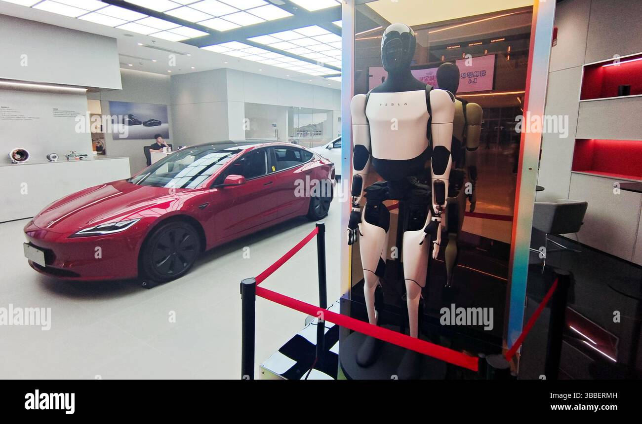 SHANGHAI, CHINA - MAY 15, 2025 - The Tesla humanoid robot Optimus Gen-2 ...