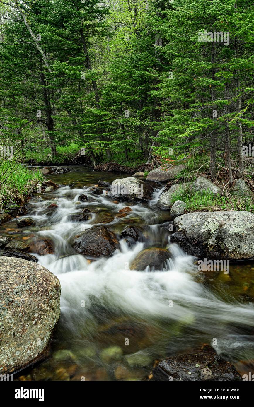 Spring on Cascade Brook, Adirondack Park, Essex Co., NY Stock Photo - Alamy