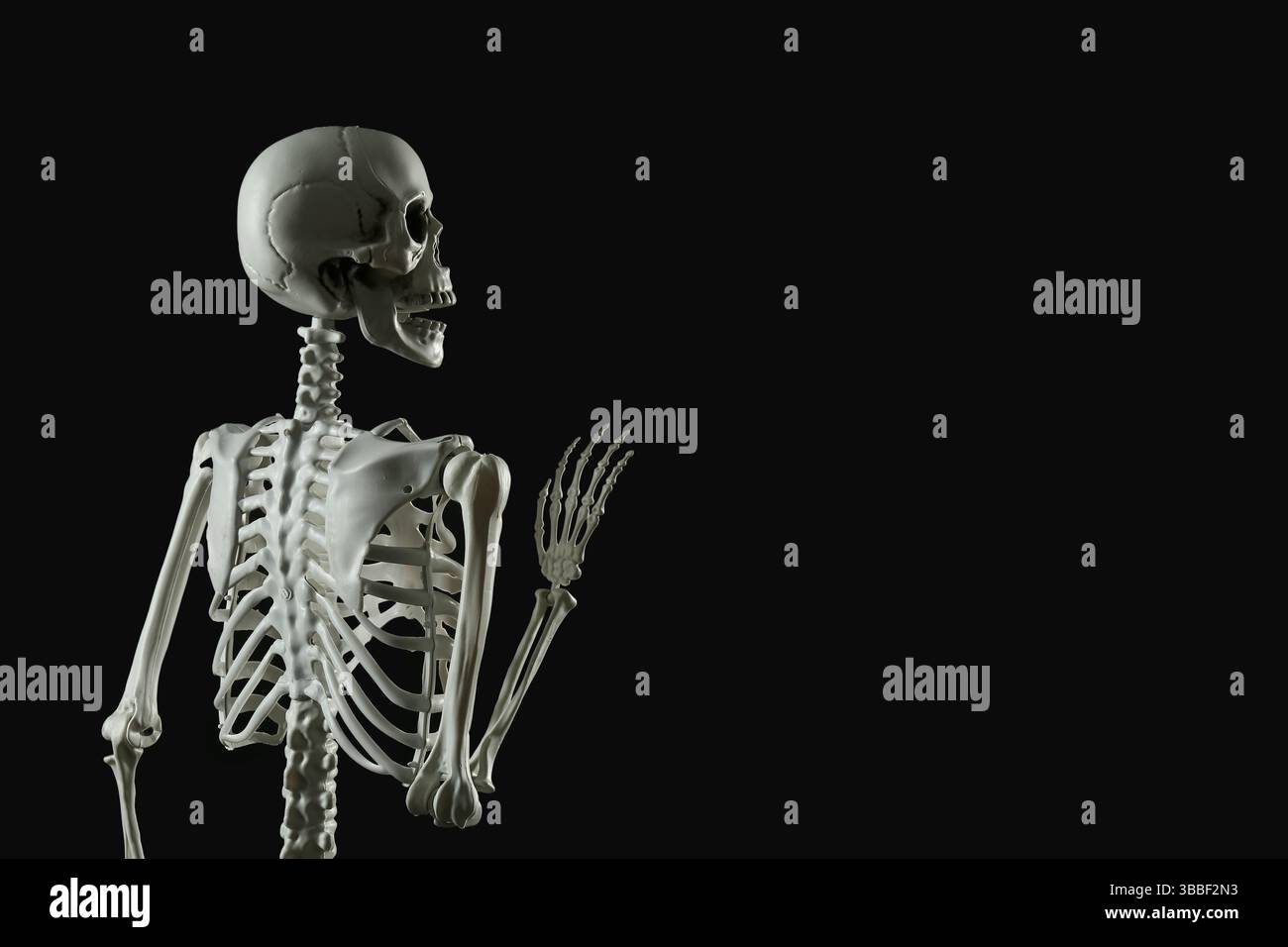 Scary human skeleton waving hand on black background, back view Stock ...