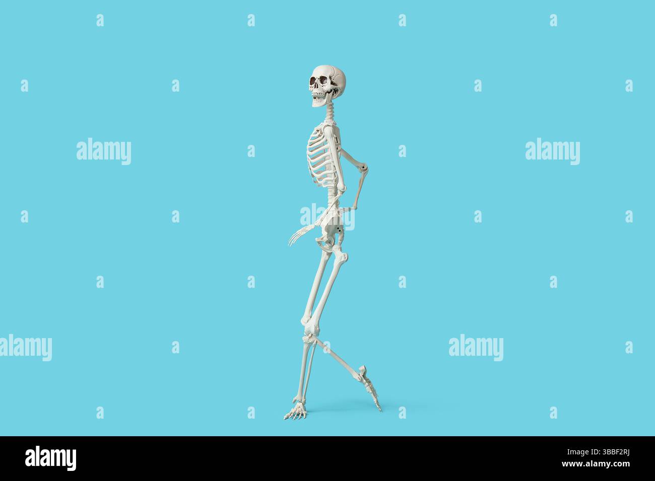 Scary human skeleton running on blue background Stock Photo - Alamy