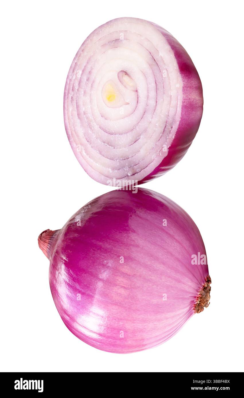 Single fresh peeled red or purple onion bulb with half in stack is ...