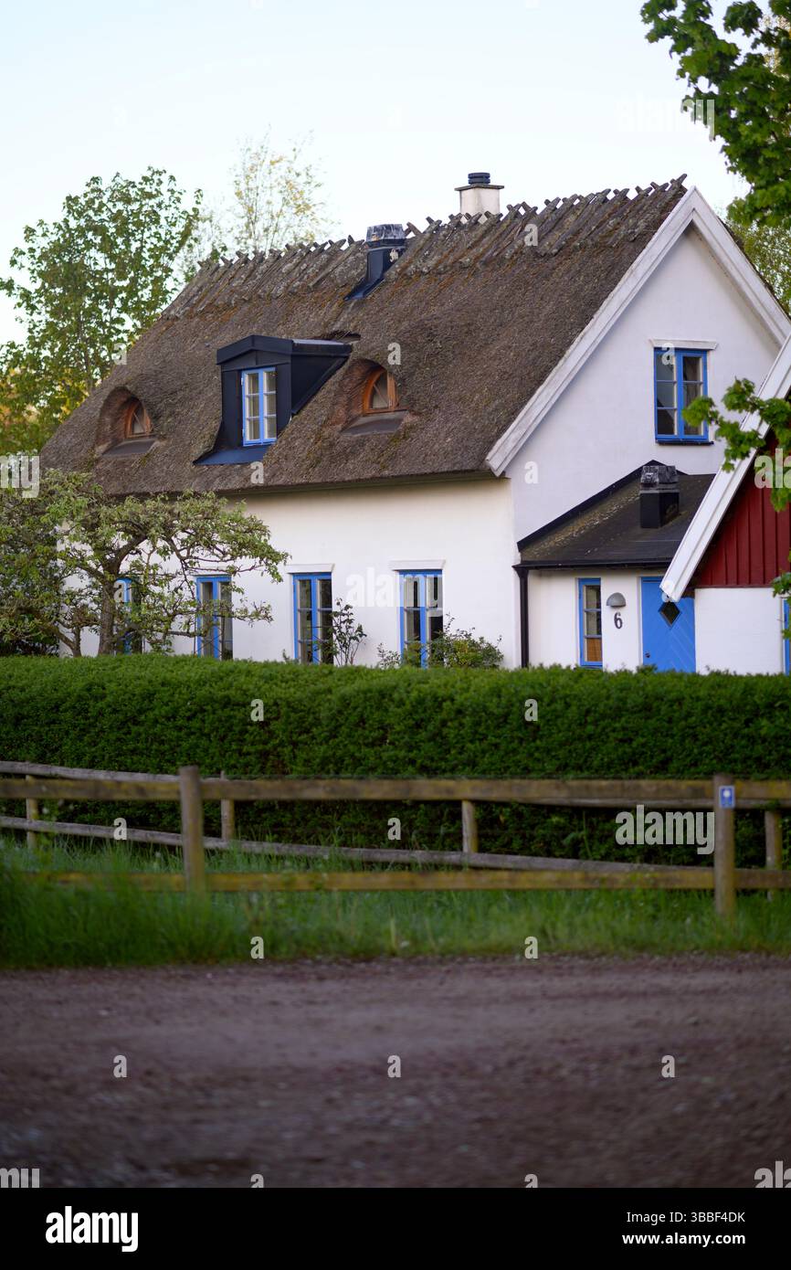 A cozy traditional village house with thatched roof on farm. Lund Skane ...