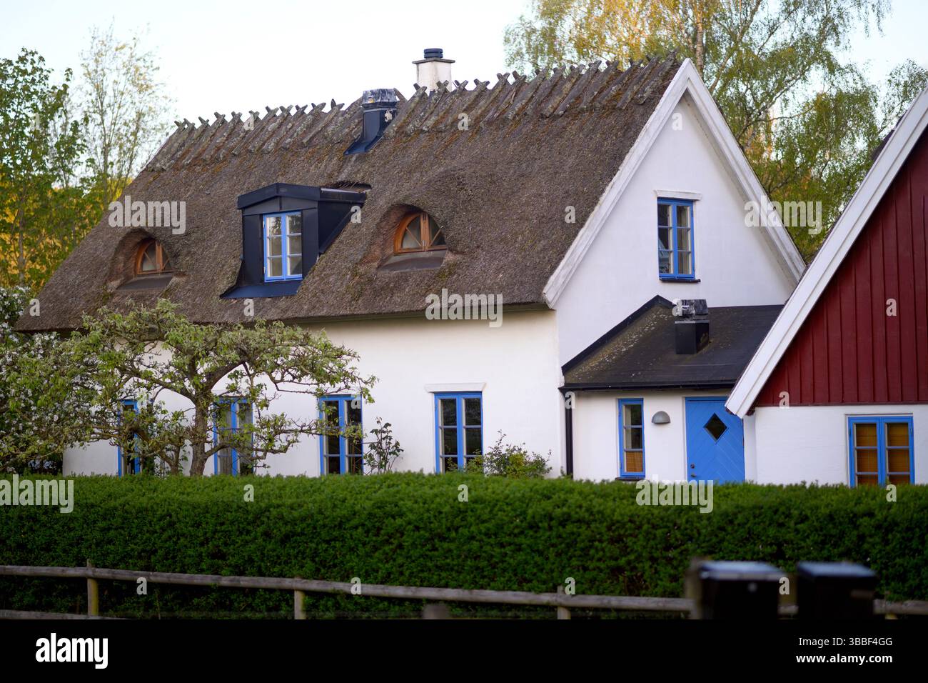 A cozy traditional village house with thatched roof on farm. Lund Skane ...