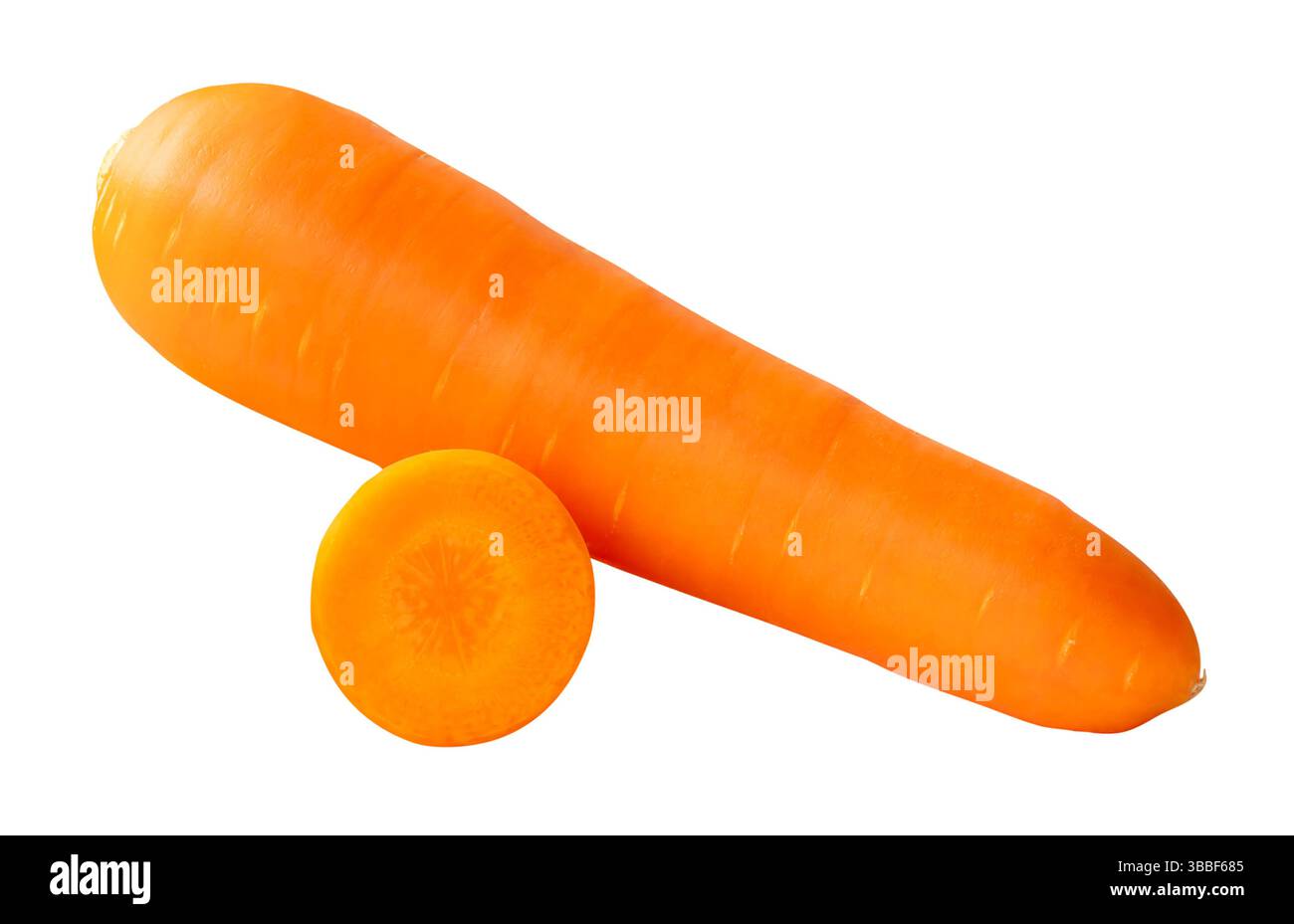 Side view of one fresh orange carrot root with slice in circle in stack ...