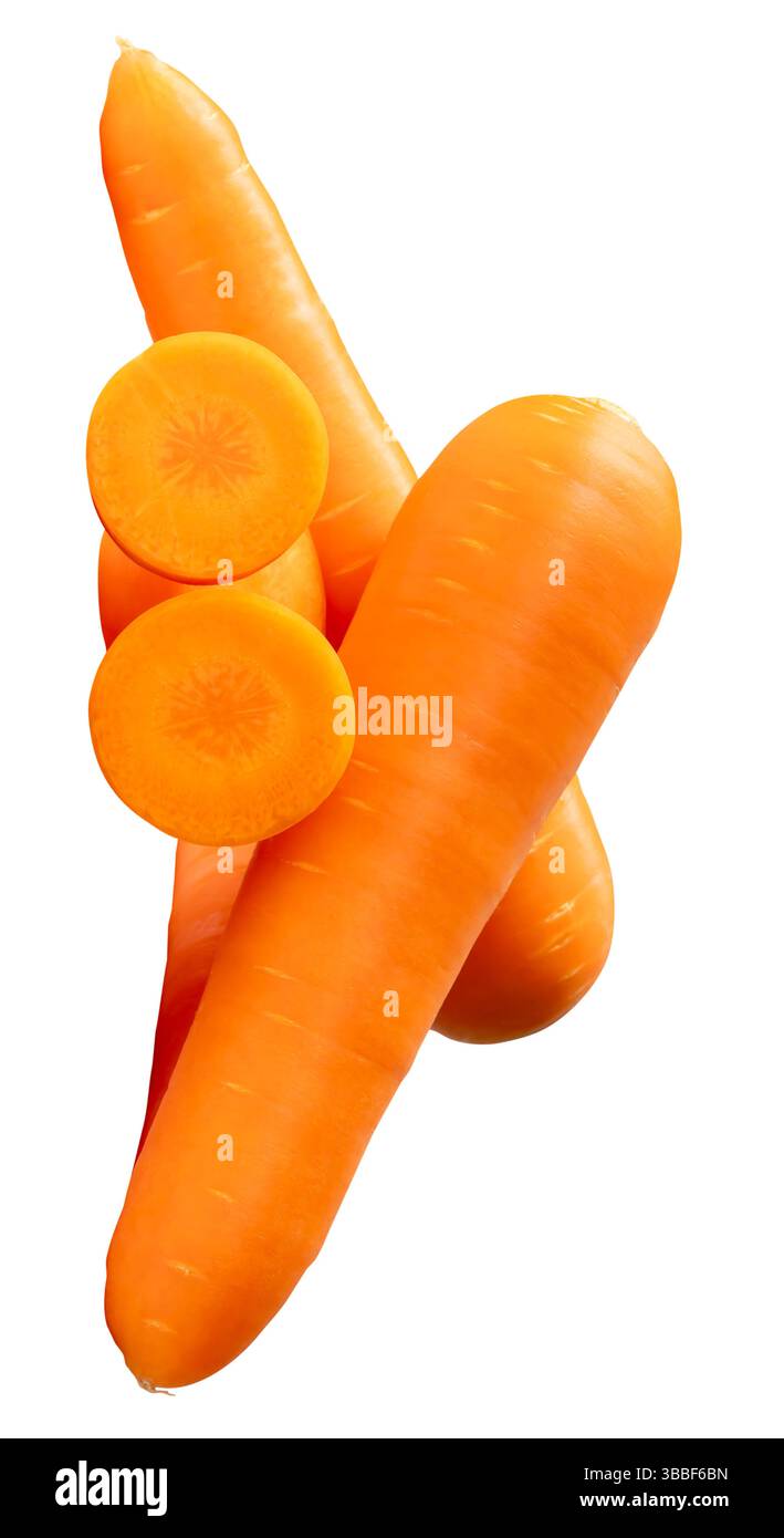 Side view of three fresh orange carrot roots with slices in circles in ...