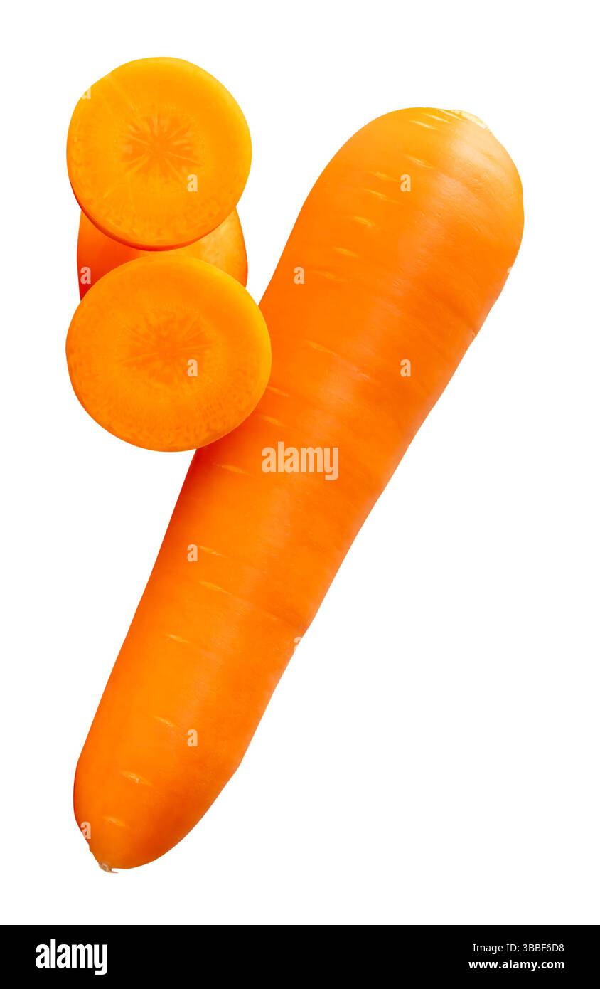 Side view of one fresh orange carrot root with slices in circles in ...