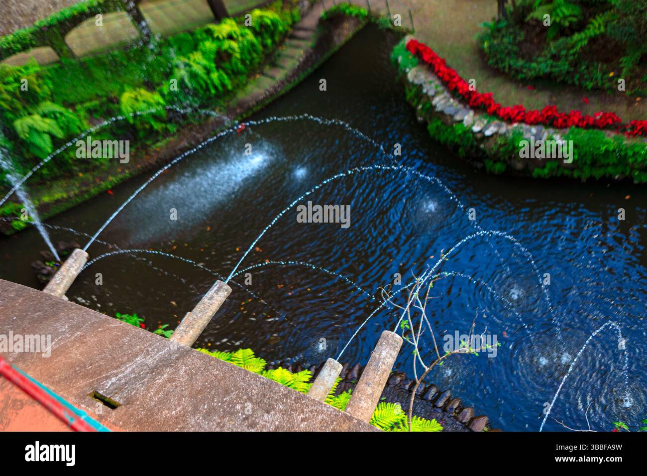 Serene garden with a dark water channel featuring multiple small ...