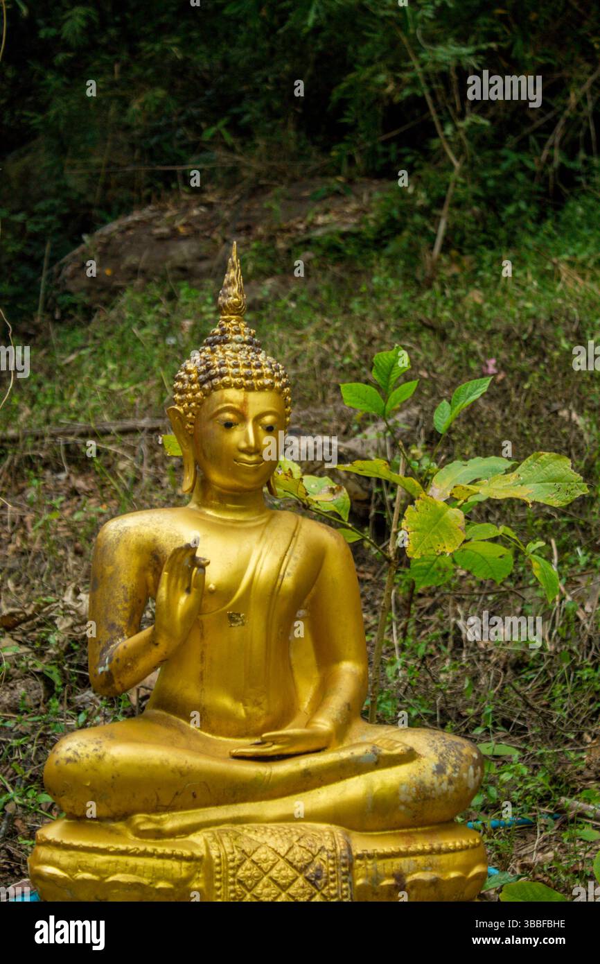 Buddha gold statue in a Buddhist temple Wat in Thailand. Golden Statue ...